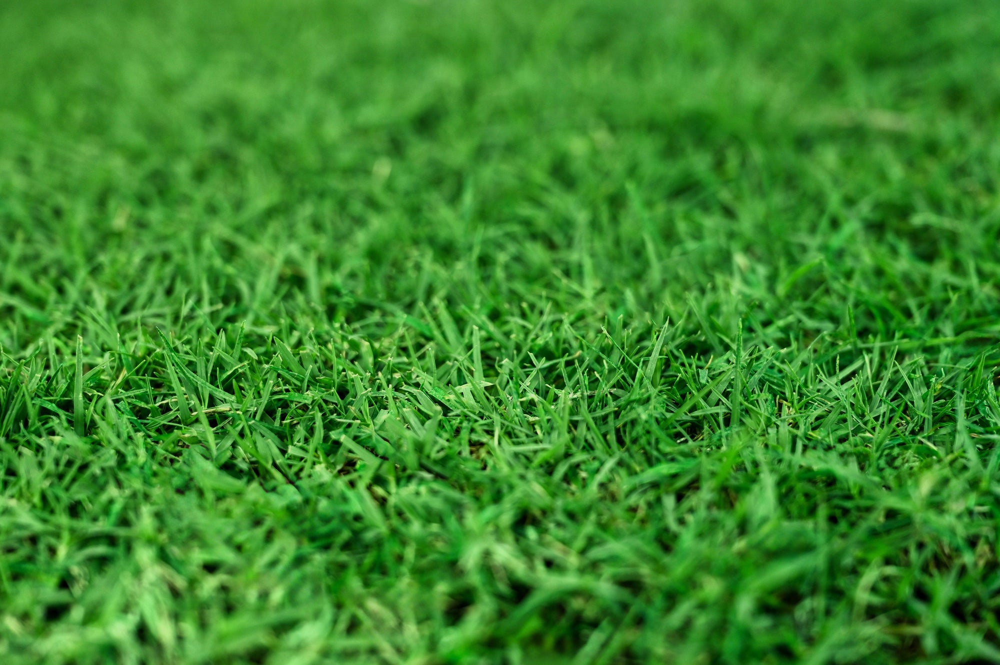 Outdoor Natural Grass Pads for Balconies and Patios